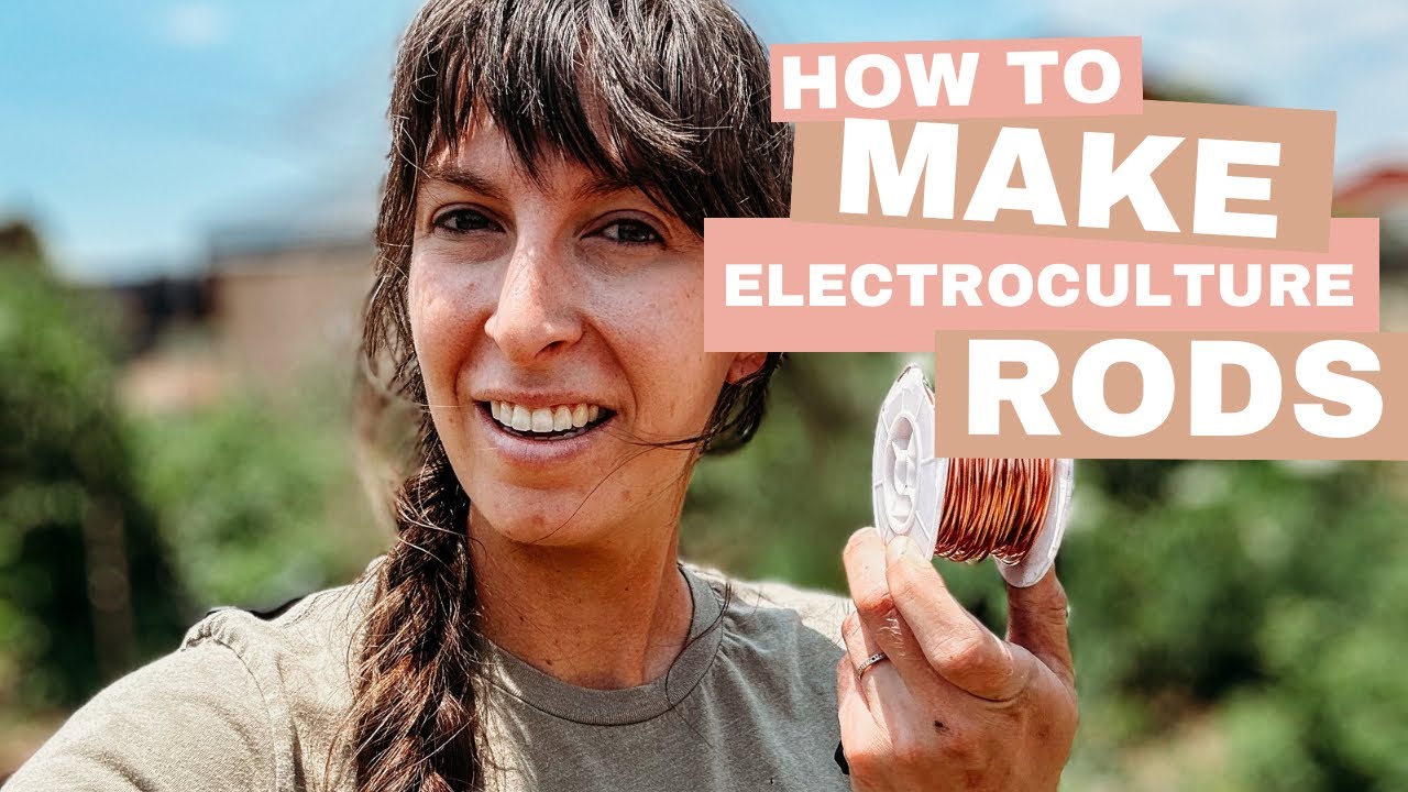 Setting up electroculture rods in my homestead garden | I’ll update ...