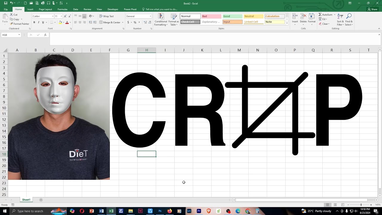 Excel Basics: How to Crop Pictures in MS Excel - YouTube
