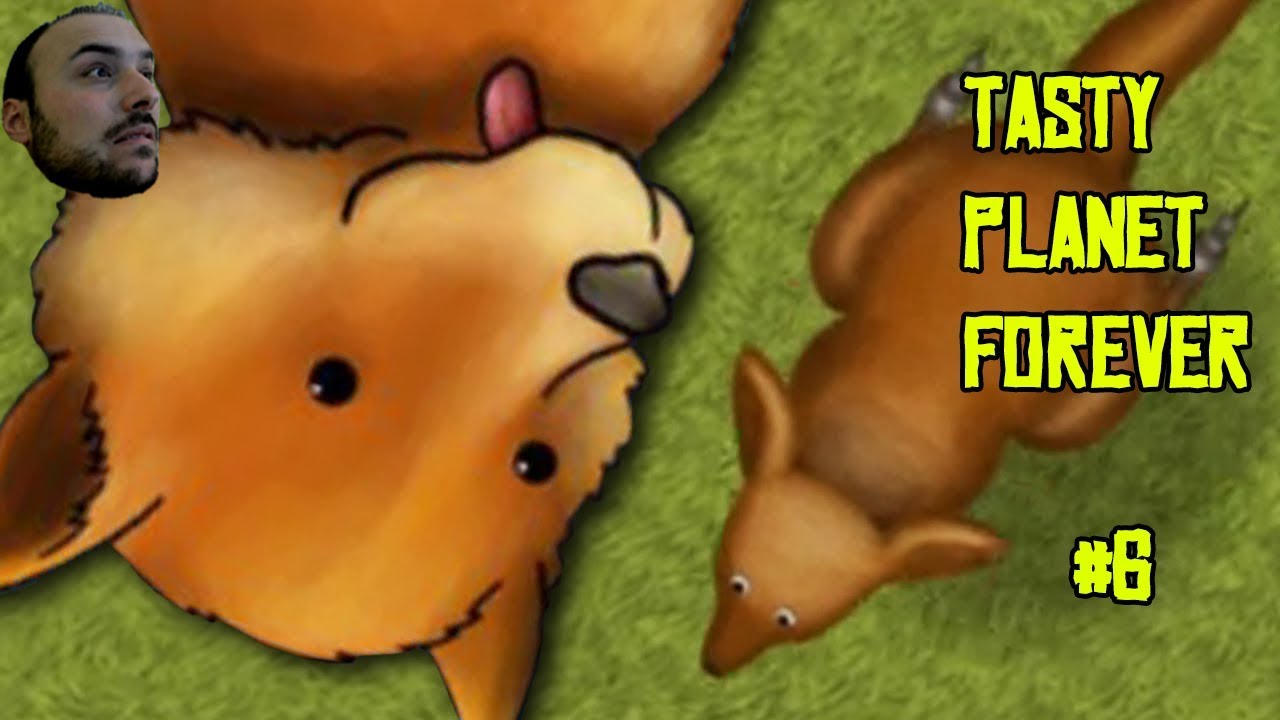Kanguruları Yutan Dingo - Tasty Planet Forever # 6 - YouTube