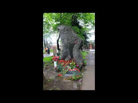 Ben bir ceviz ağacıyım / NHR - ...