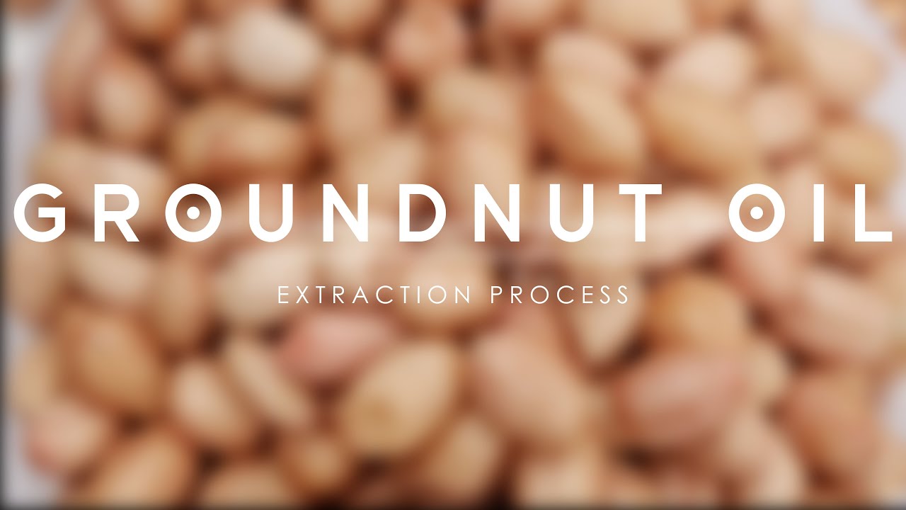 Groundnut_Oil_Extraction_Process Adyabha By Auro Foods Bhubaneswar ...