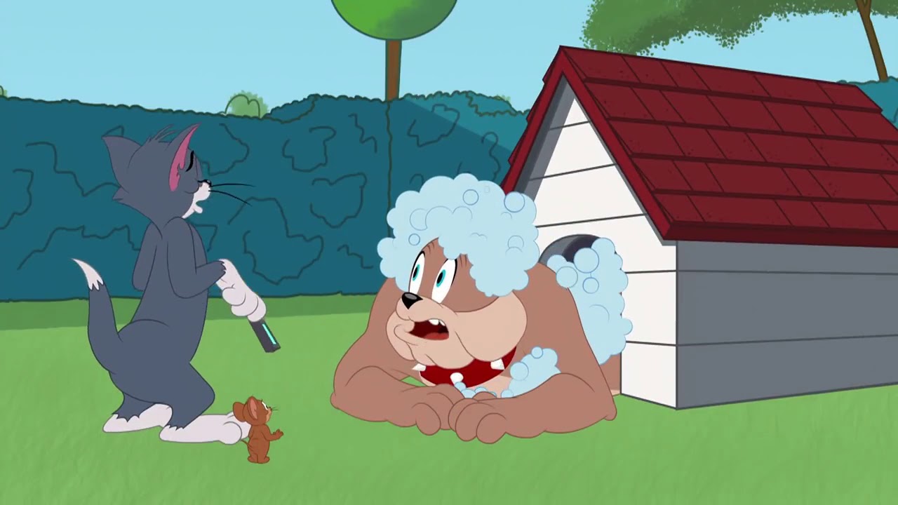 توم وجيري | بعنوان نظيف جدا | Tom & Jerry | Squeaky Clean - YouTube