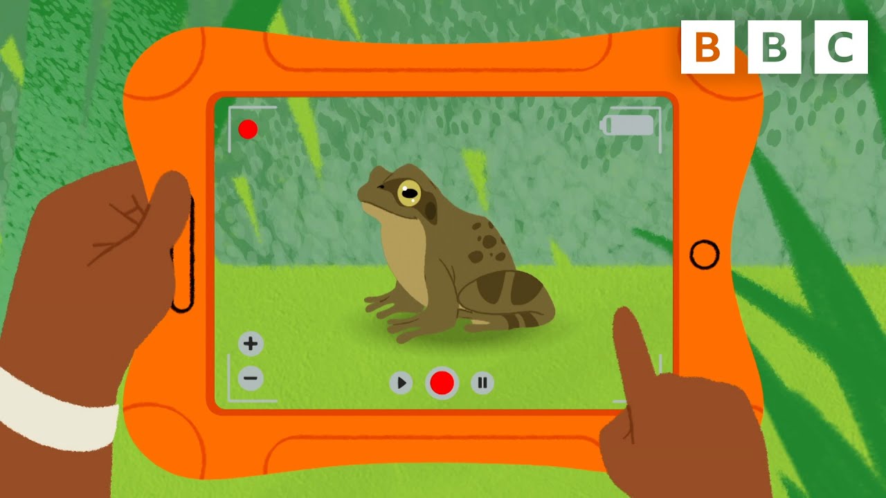 JoJo & Gran Gran Look for Frogs 🐸 #earthday | CBeebies - YouTube