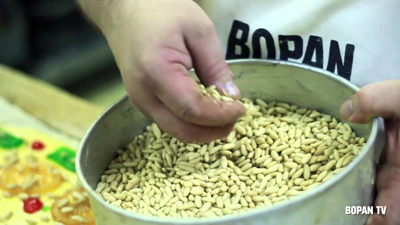 BOPAN TV - Sant Joan - YouTube