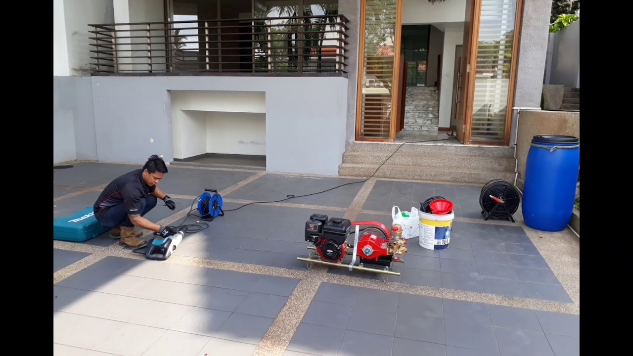 Termite Control Singapore | Cheap & Affordable - YouTube
