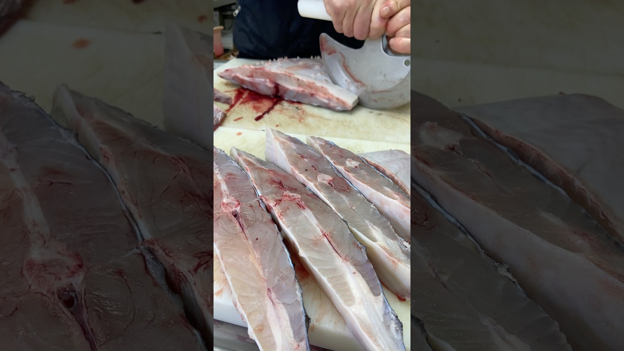 Kalkan balığı, genellikle büyük ve etli bir deniz balığı türüdür. # ...