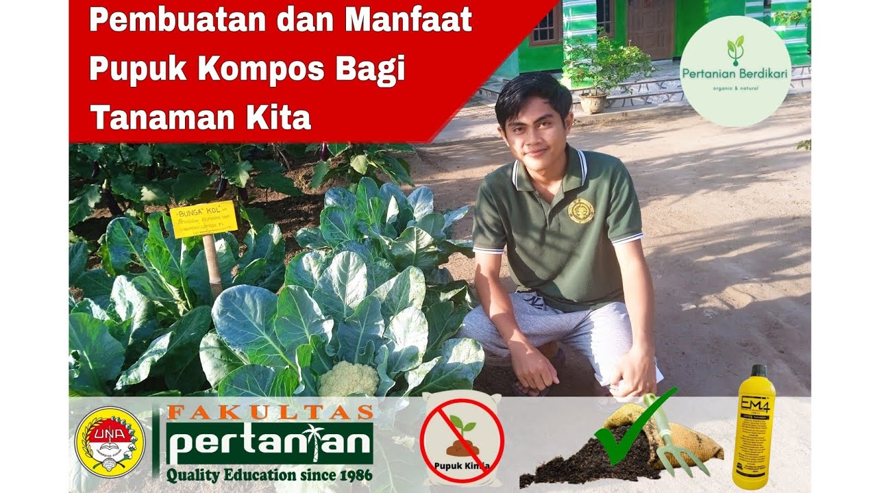 Pembuatan dan Manfaat Pupuk Kompos Bagi Tanaman Kita - YouTube