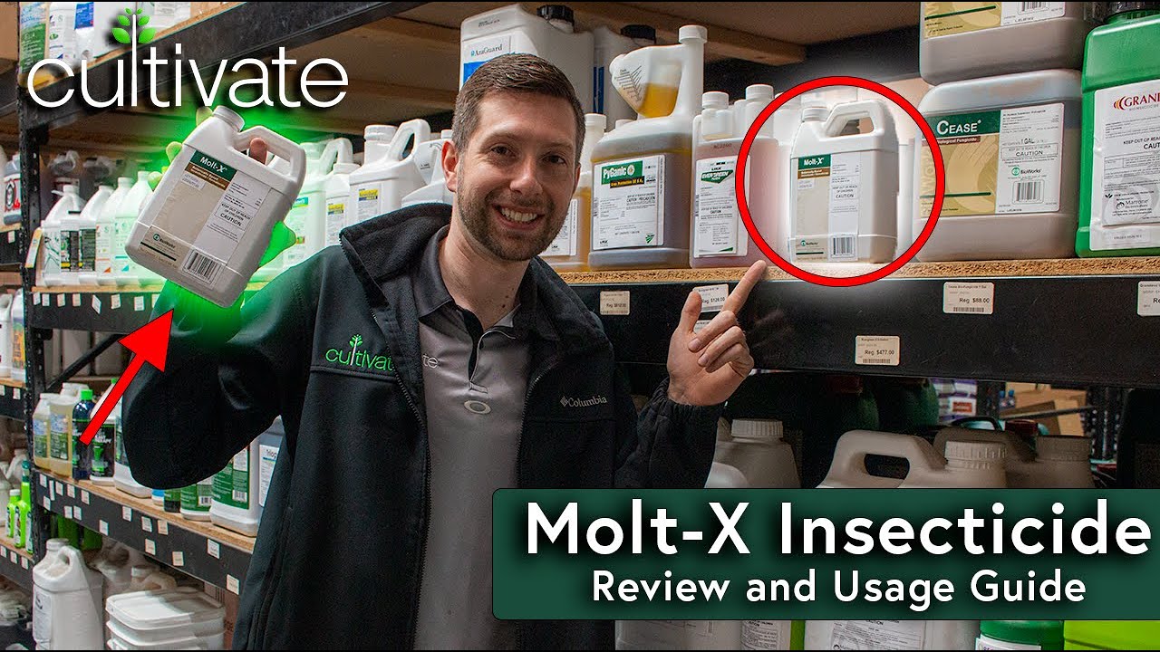 Molt-X Insecticide Review and How to Use - YouTube