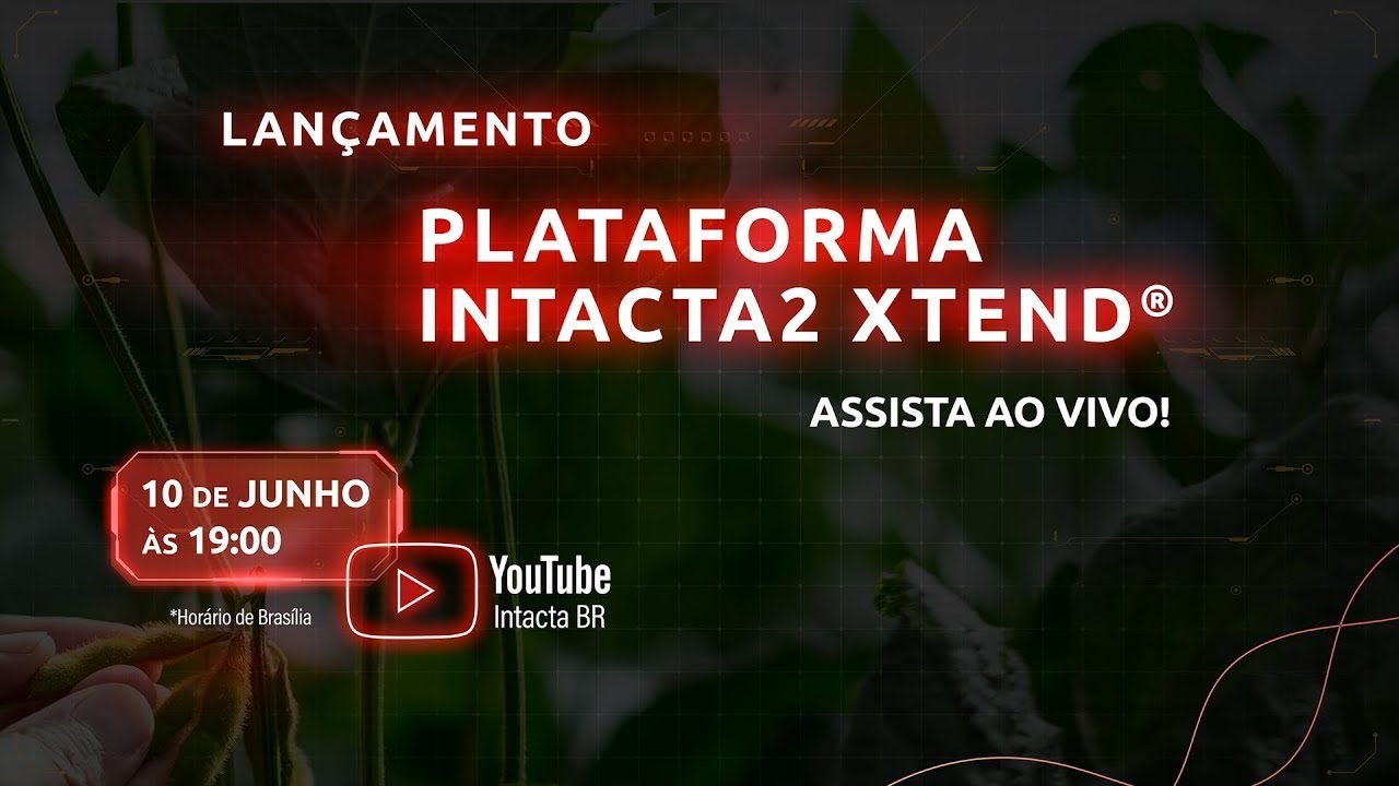 LANÇAMENTO DA PLATAFORMA INTACTA2 XTEND®️ - YouTube