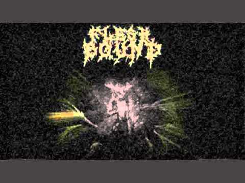 Flesh Bound-Heart Strung Noose (New Song 2016) - YouTube