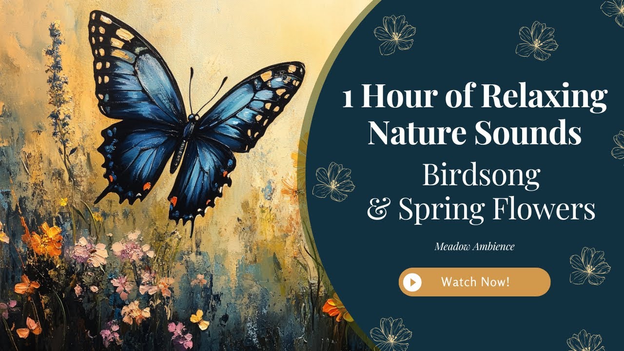1 Hour of Relaxing Nature Sounds & Birdsong | Spring Flowers, Meadow ...