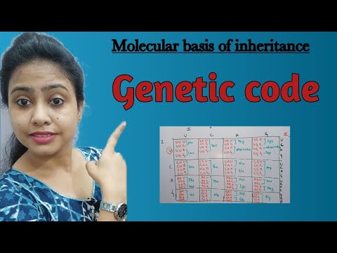 Genetic code | Ch-6 Molecular Basis of Inheritance | Class 12 | NEET ...
