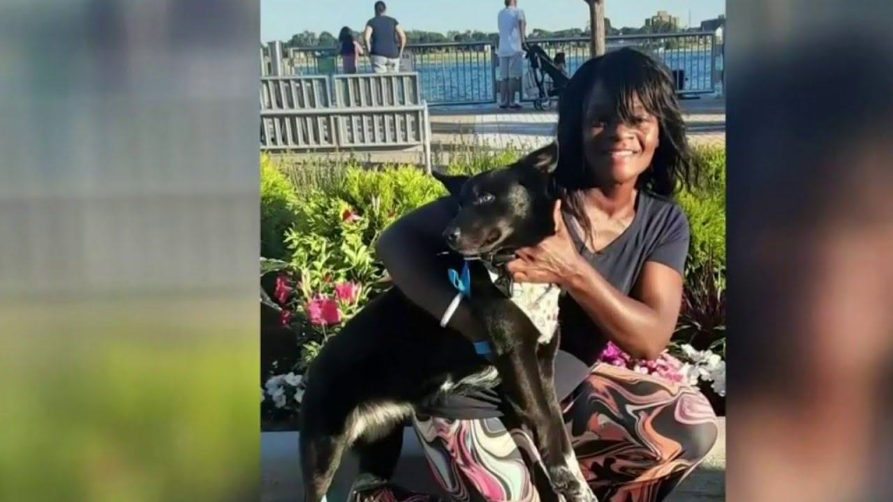 Missing pregnant dog feared to be stolen in Detroit - YouTube