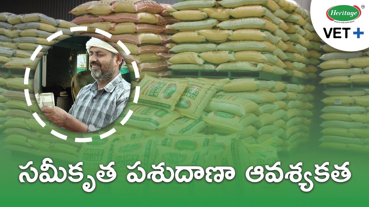 Benefits of Cattle Feed | సమీకృత పశుదాణా ఆవశ్యకత | Heritage Vet+ ...