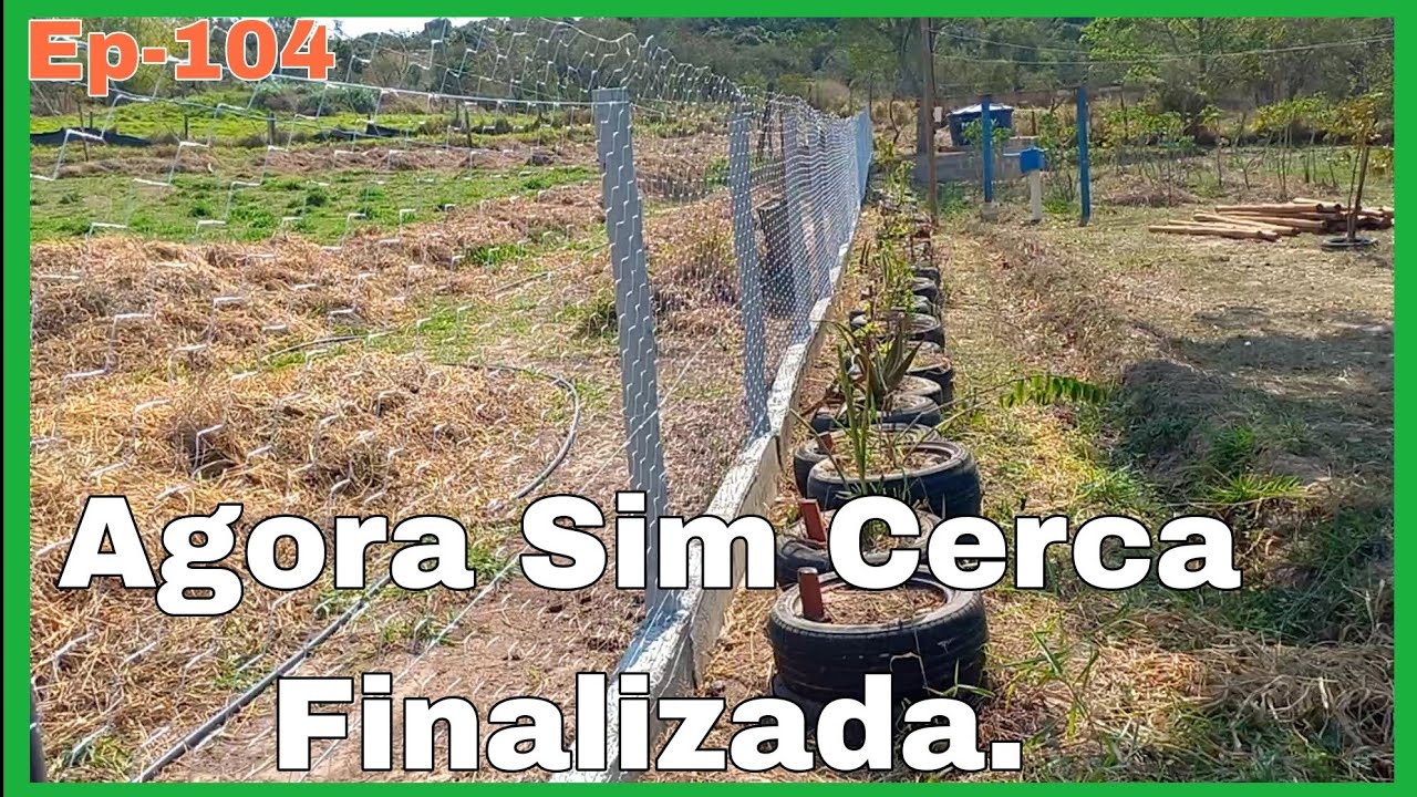 Cerca de eucalipito tratado finalizada. - YouTube