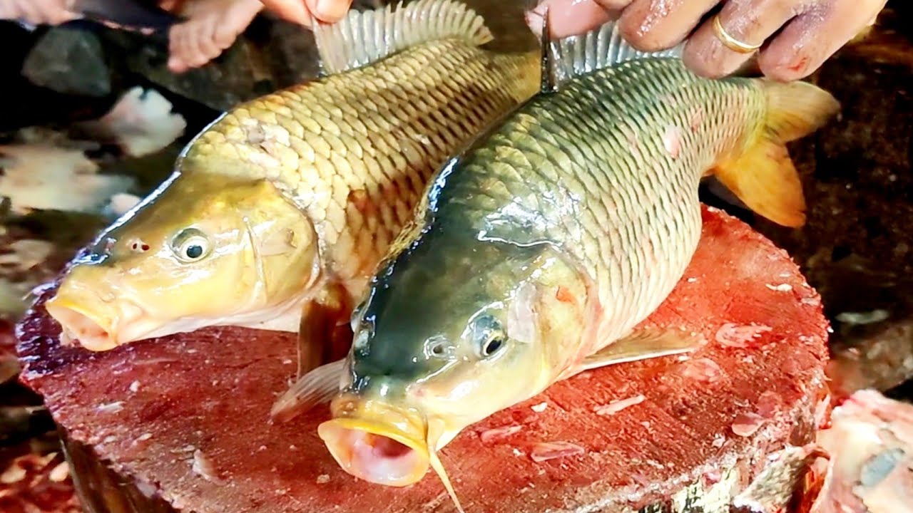 Chinese Cutting | Giant Golden Carp Fish Cutting skills In Fish Market ...