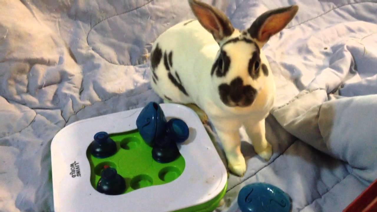 Kaylee & Inara 2 - YouTube