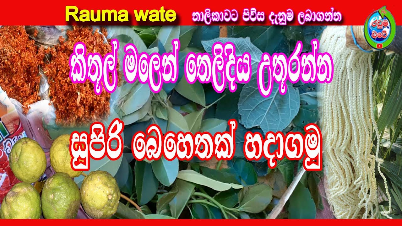 Kithul mal beheth | kithul mal kapima | Rauma wate - YouTube