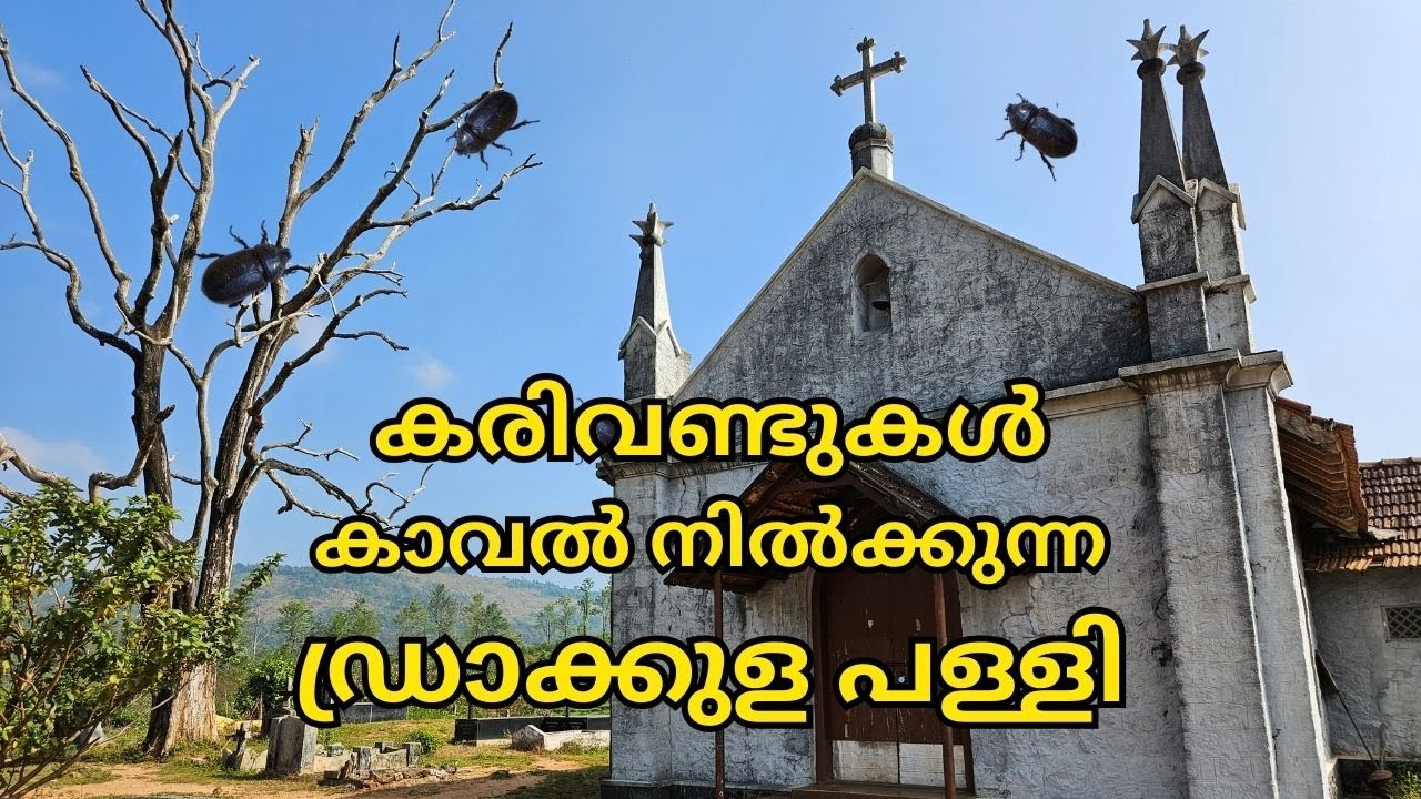 കരിവണ്ടുകൾ കാവൽ നിൽക്കുന്ന ഡ്രാക്കുള പള്ളി||St.Andrews Church||Vagamon ...