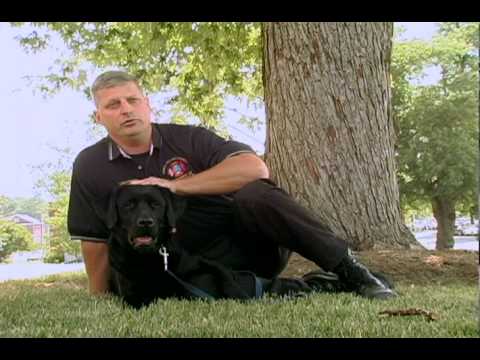 Prince William County Profiles: Cadet, an Accelerant Detection Canine ...