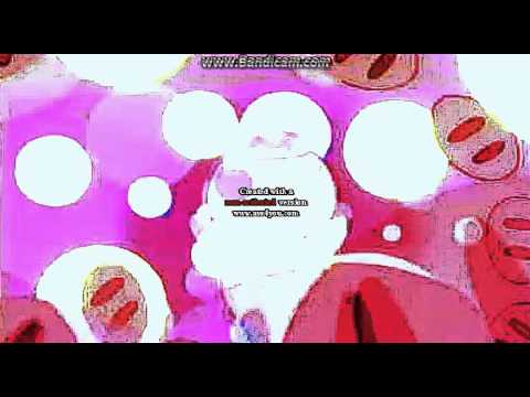 Tokyo Pig ABC Family Promo (Full HD) - YouTube