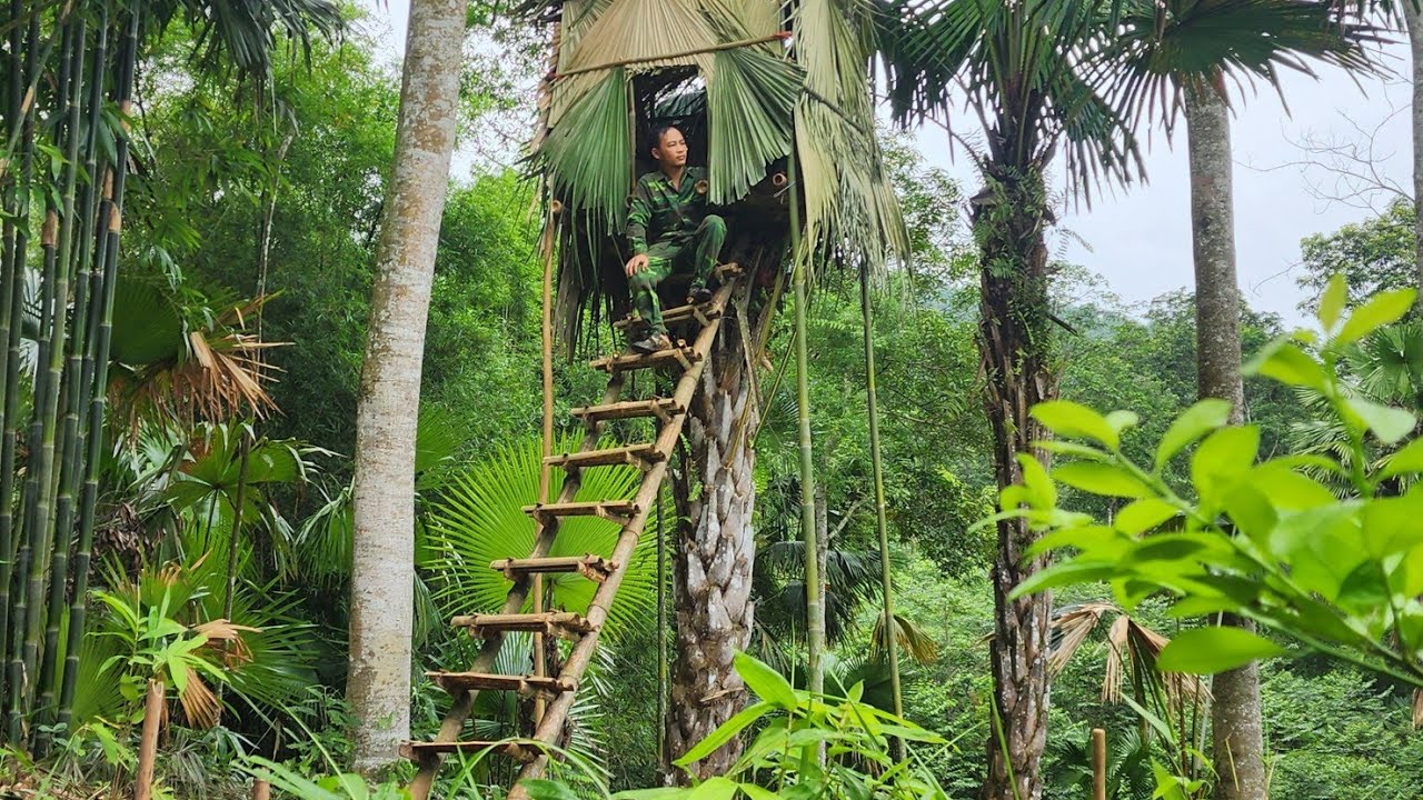 build palm tree Huts and shelters - YouTube