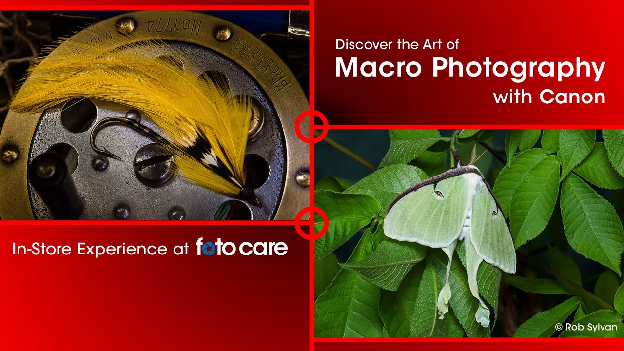 Discover The Art Of Macro Photography With Canon - YouTube