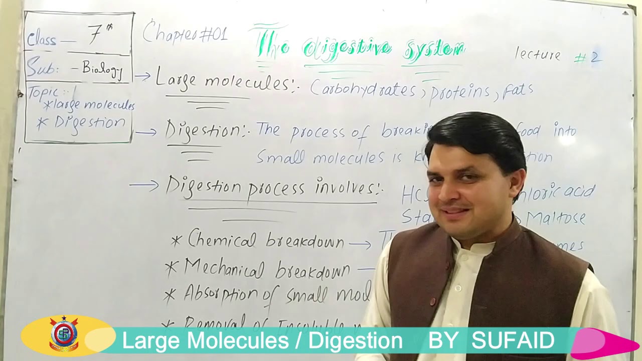 The Digestive System Lecture 2 Biology Class 7th - YouTube