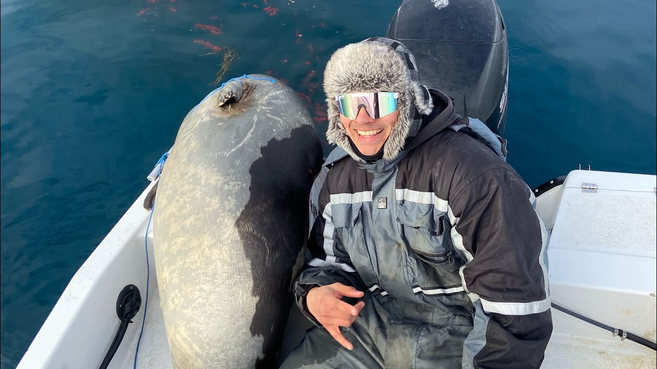 Hunting video Clips - YouTube