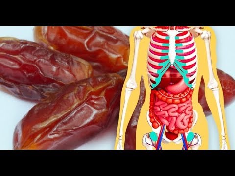 3 Hurma Arabie në Ditë! Çfarë Mrekullie i Ndodh Trupit - YouTube