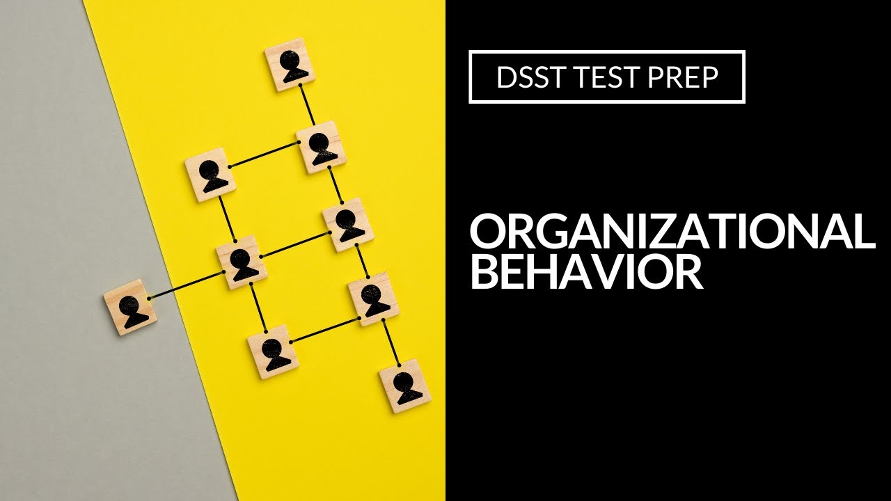 DSST Exams | DSST Organizational Behavior Study Guide - YouTube