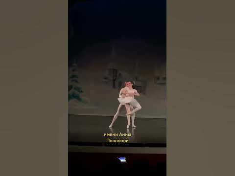 Балет "Щелкунчик"💛инст: po_lubvi_spb :)подпишись #обзор #театр #кудасходить #спб #балет # ...