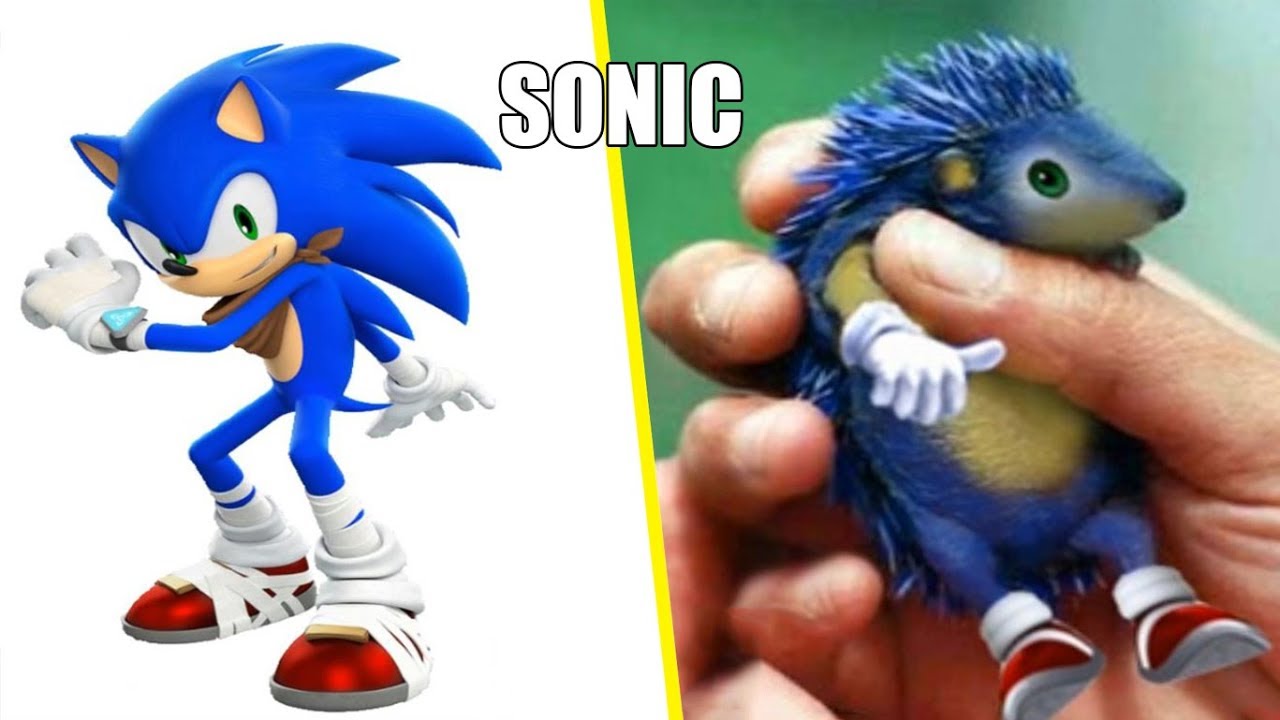Sonic Boom en la vida real - YouTube