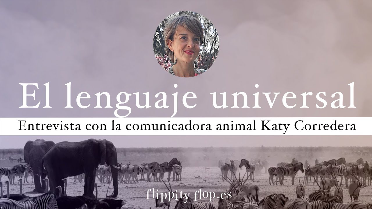 El lenguaje universal: con Katy Corredera, comunicadora animal - YouTube