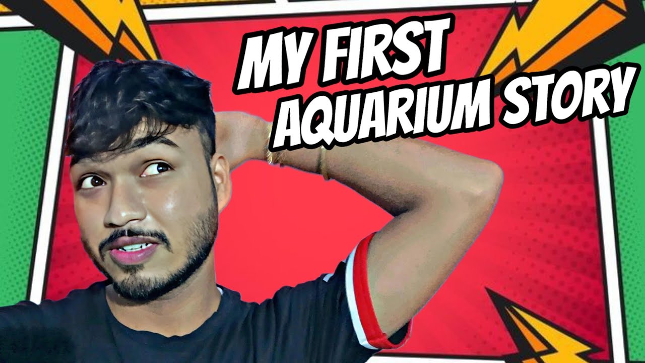 My first Fish aquarium as beginner | My personal experience share with ...