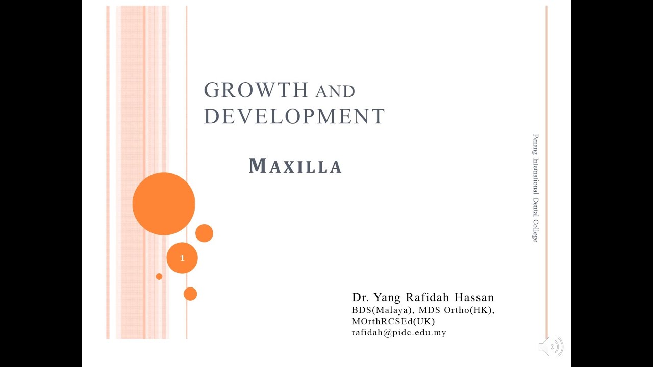 Growth of Maxilla - YouTube