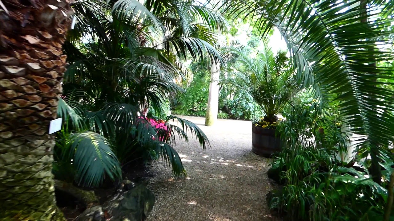 Palmenhaus Wien Schönbrunn – Rundgang Spaziergang –Jakob Hofer fz82/83 ...