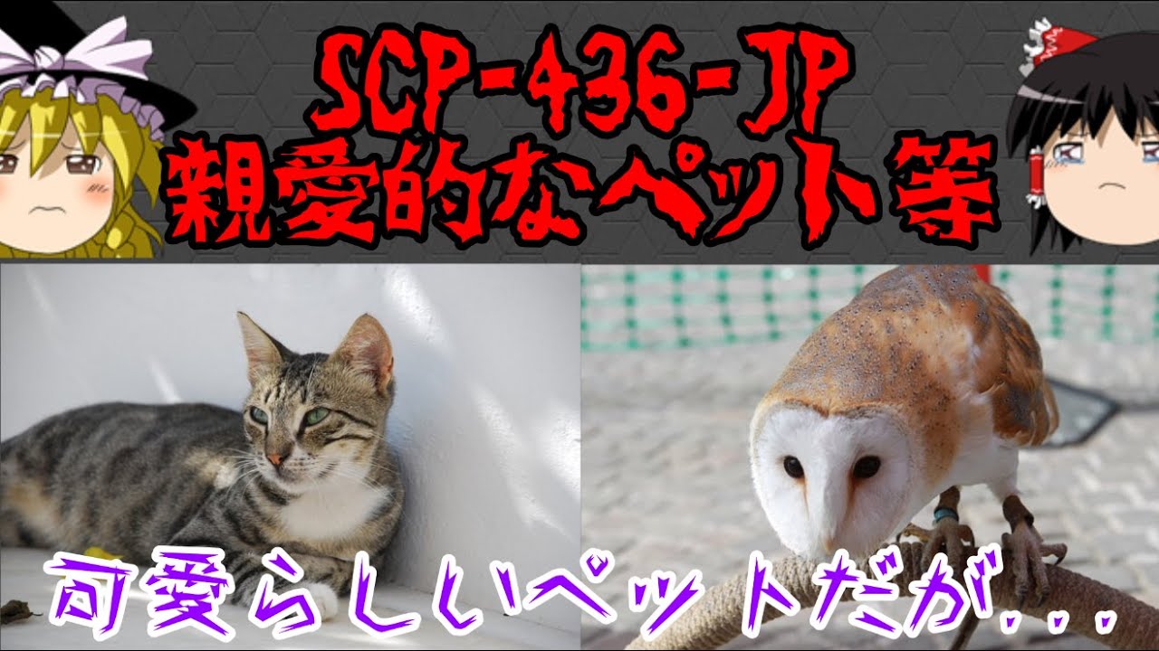 【ゆっくり紹介】SCP-436-JP 親愛的なペット等 - YouTube