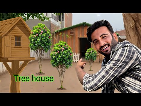 Akhar Tree House ready ho he gya ha - YouTube