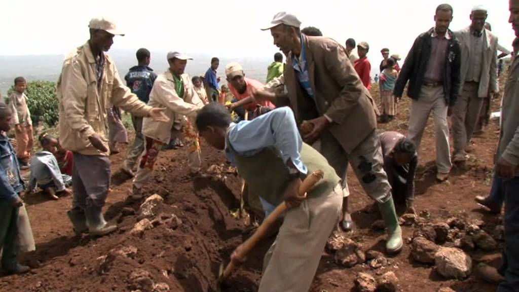 The Sebeta Suba Forest - YouTube