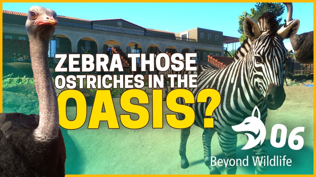 ZEBRAS...OSTRICHES...OH MY!! | Beyond Wildlife Park (ZSU) | Planet Zoo ...