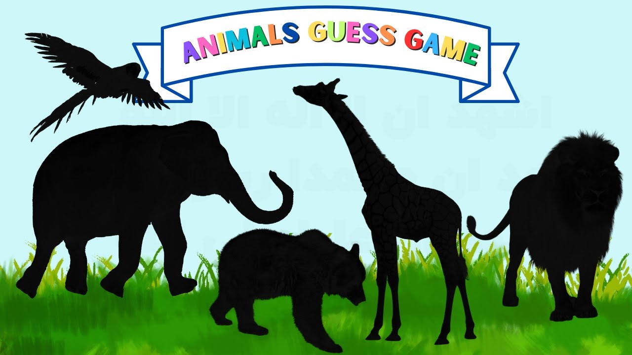 Guess the Animal Game | Animal Guessing Game for Kids - YouTube