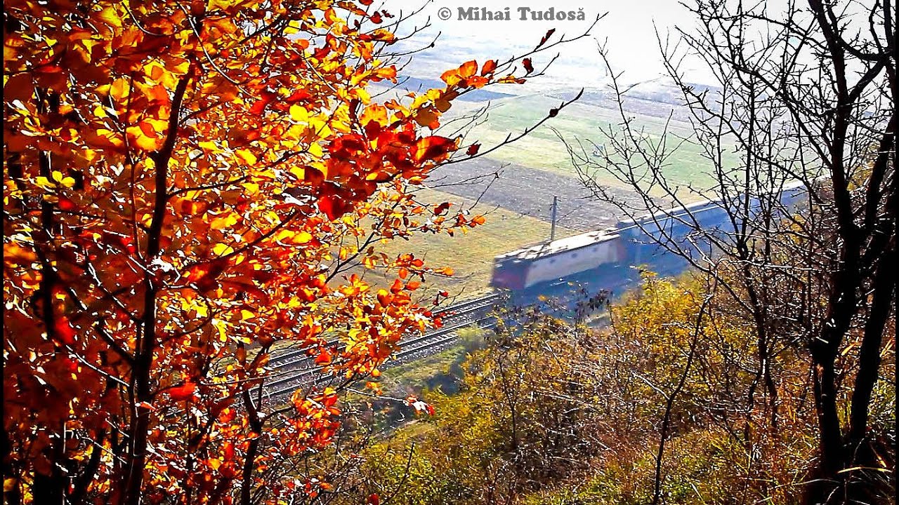 Autumn Fast Trains near Dolhasca [November, 2015] - YouTube