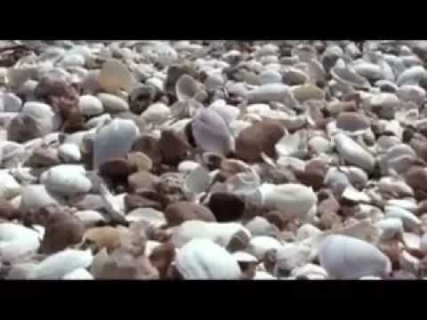 Urugua i - Río de los caracoles: LA MIRADA DEL CARACOL.
