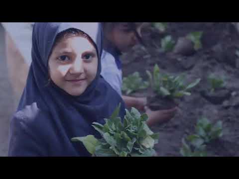 Shajar - An Introduction