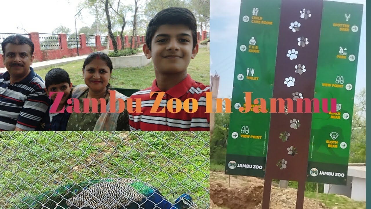 Jambu Zoo In Jammu || Largest Zoo Of North India || Peacock || Leopard ...