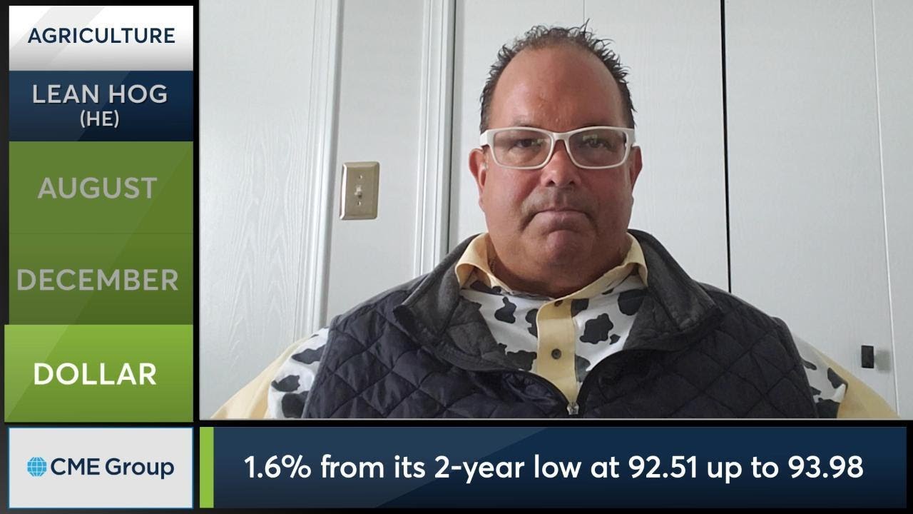 August 4 Livestock Commentary: Scott Shellady - YouTube