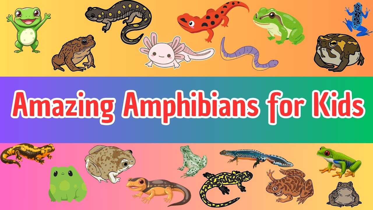 20 Famous Amphibians for Kids | Fun Facts & Names | Nursery to Primary ...