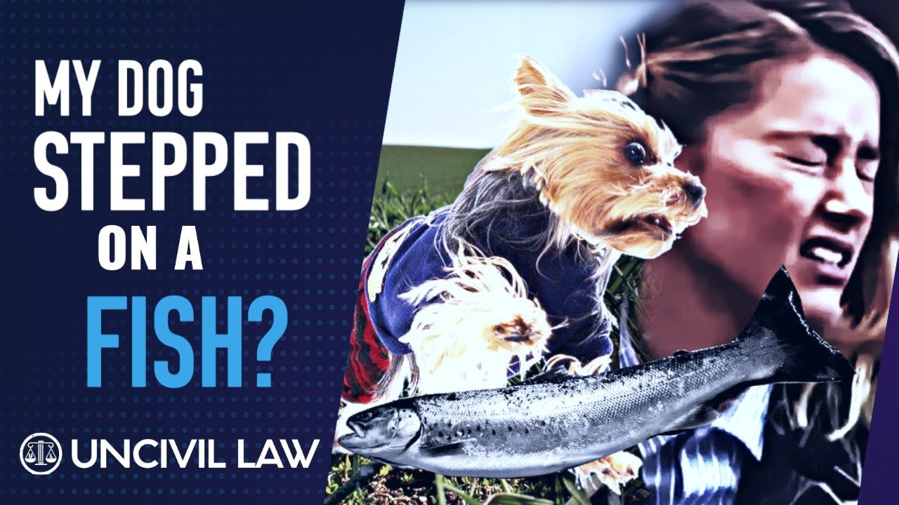 Bees are fish - YouTube