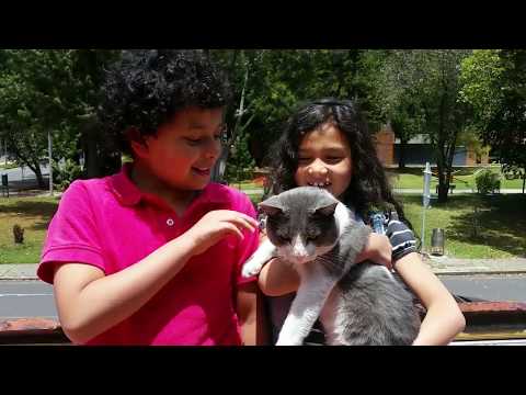 Como vivo el Ciber 2018